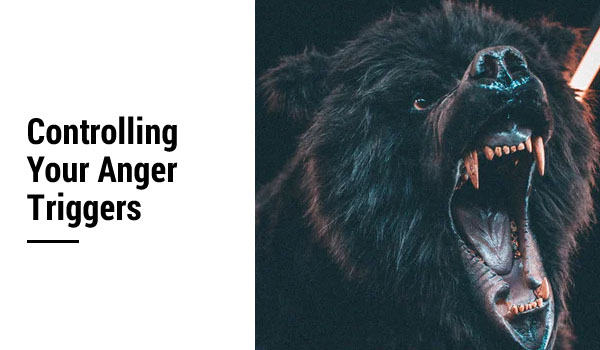 4 Steps to Controlling Your Anger Triggers ~ Committed to Your Success ...